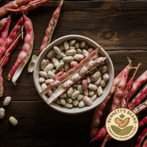 Bennett’s Beans | Canadian Beans Supplier