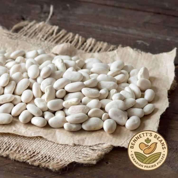 Canadian White Kidney Beans | Bennett’s Beans